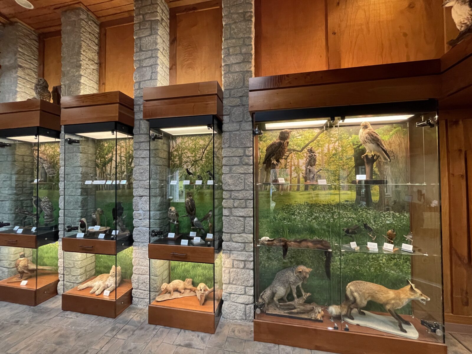 Trillium Nature Center - Buffalo Audubon